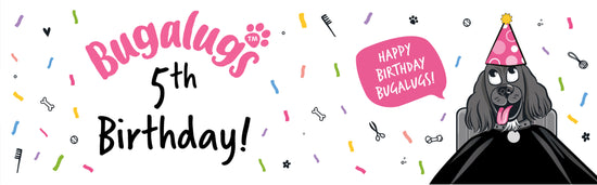 Bugalugs Turns Five! Here’s How We Celebrated 🥳 – Bugalugs Pet Care