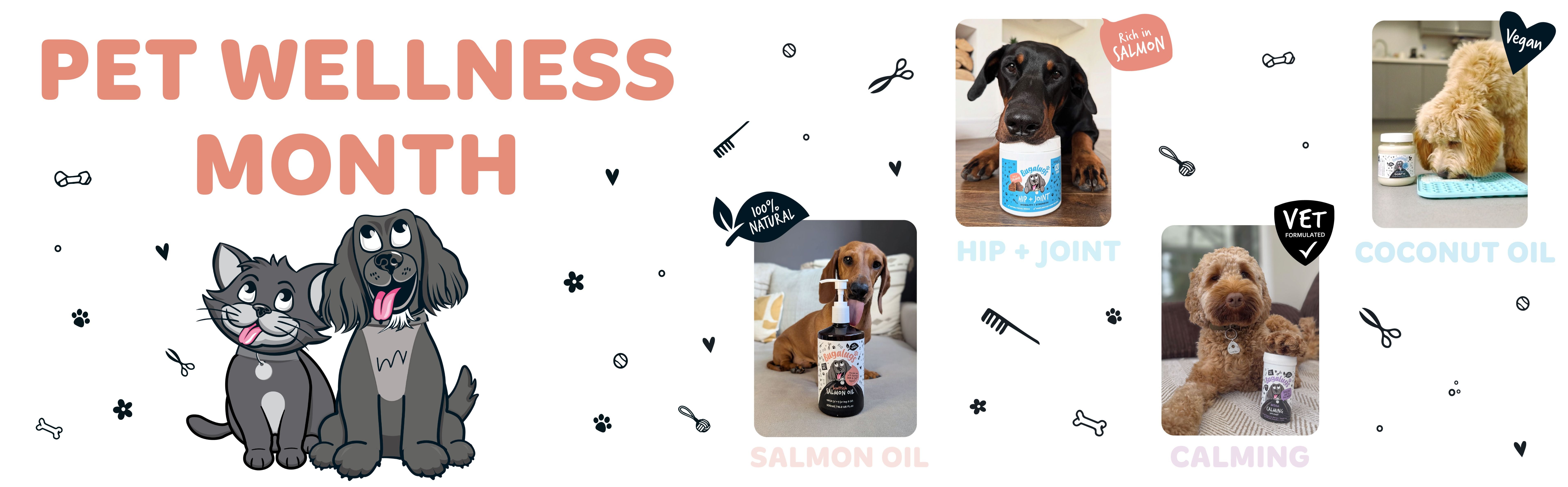 Pet Wellness Month: Simple Ways to Keep Your Pet Healthy – Bugalugs Pet ...
