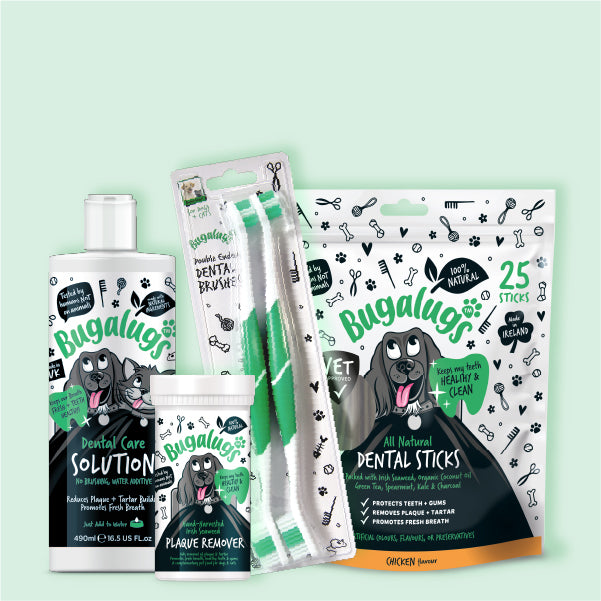 Dental Care for Dogs | Bugalugs Dental Care Range for Dogs – Bugalugs ...