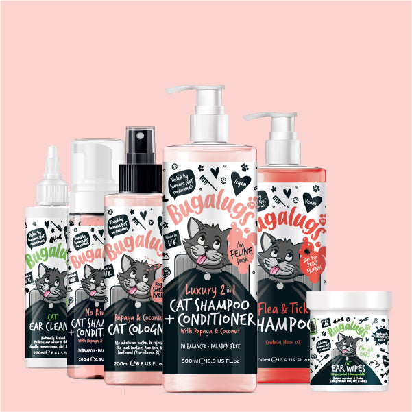 Cat Grooming | Bugalugs Grooming products for cats and kittens ...