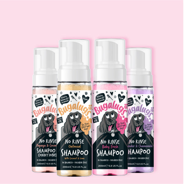 No-rinse Shampoos for Dogs – Bugalugs Pet Care