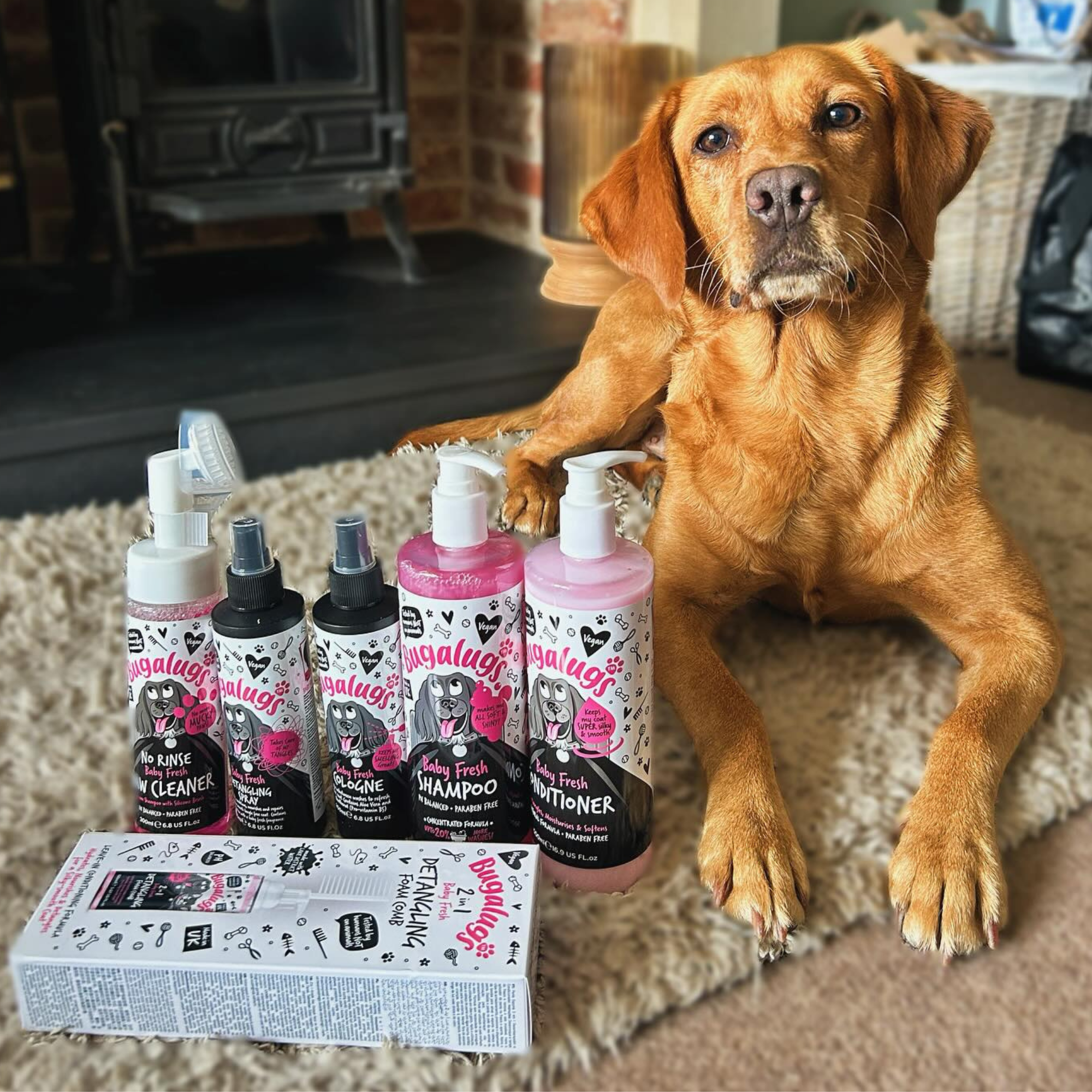 Bugalugs Baby Fresh Grooming Range for Dogs | Baby Powder scented dog ...