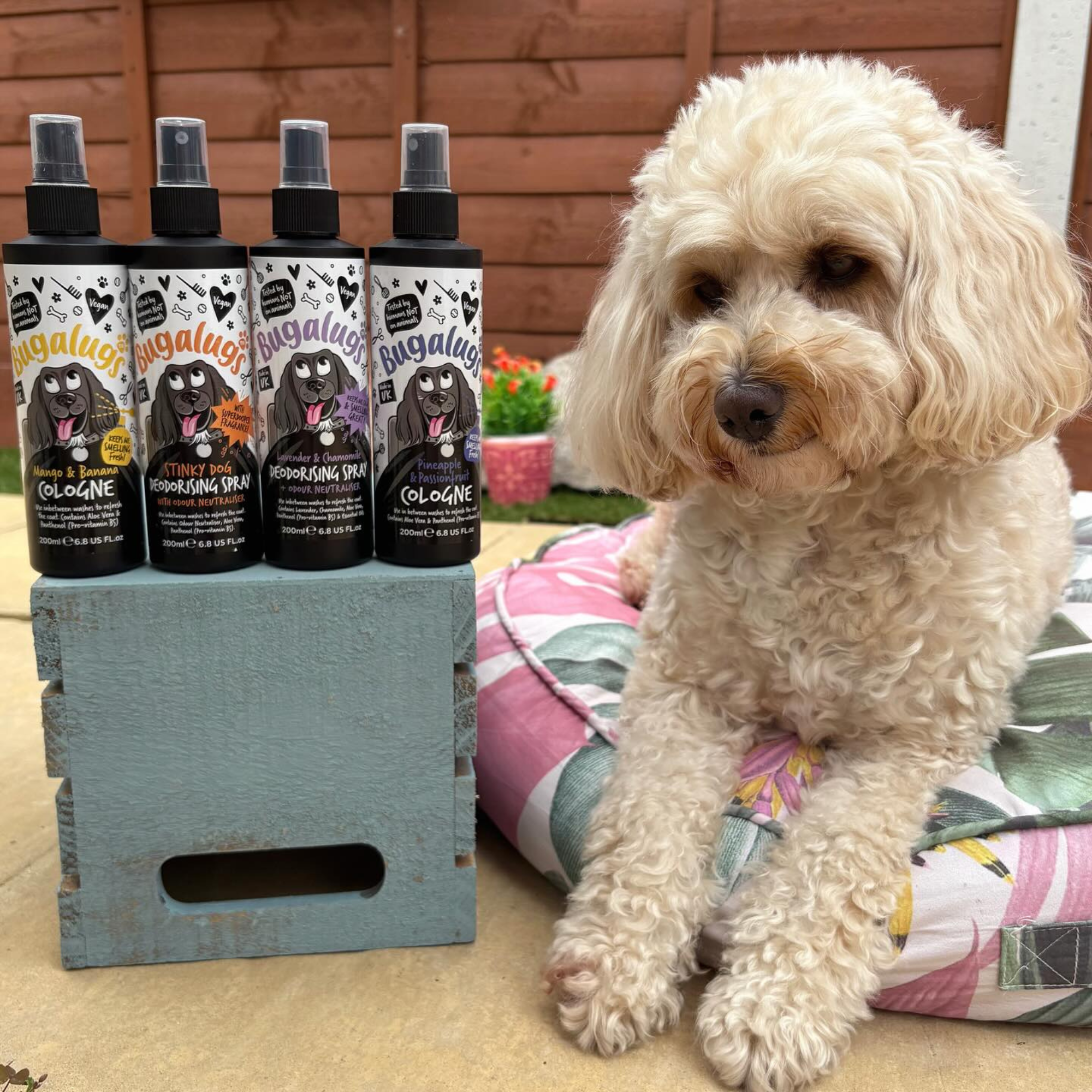 Dog Colognes & Deodorising Sprays – Bugalugs Pet Care