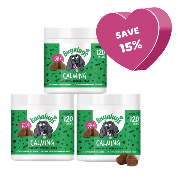 Calming Supplement Chews for Dogs 3-Pack | Anxiety in Dogs | Bugalugs ...