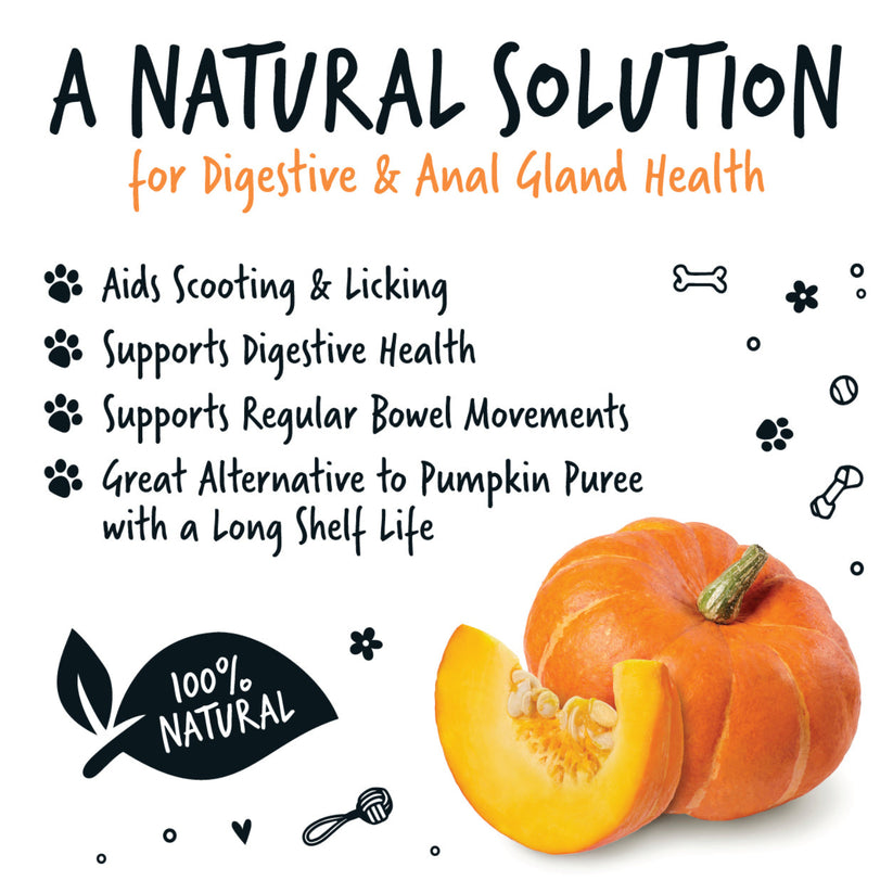 100% Natural Pumpkin Powder Supplement for Dogs | Bugalugs – Bugalugs ...