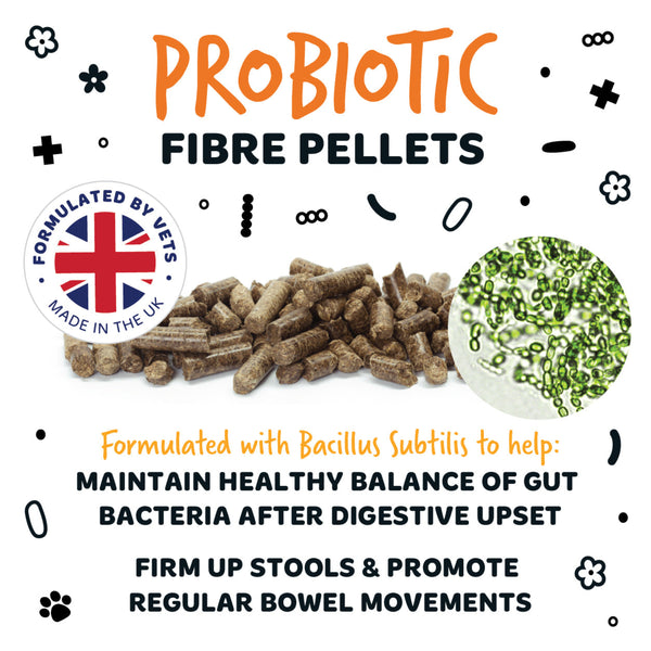 Probiotic Digestive Fibre Pellet Supplement for Dogs | Bugalugs ...