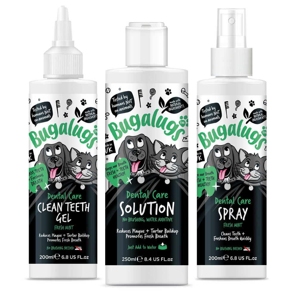 Pet Dental No Brushing Kit for Dogs & Cats | Bugalugs Dental Care ...