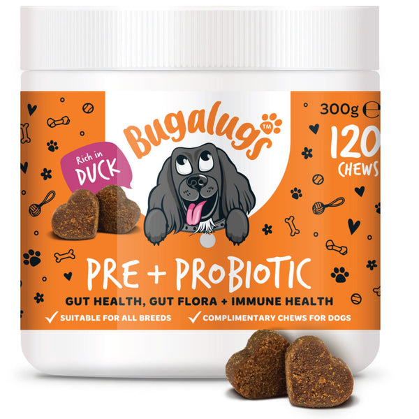Pre & Probiotic Dog Supplement Chews | Dog Gut Health | Bugalugs ...