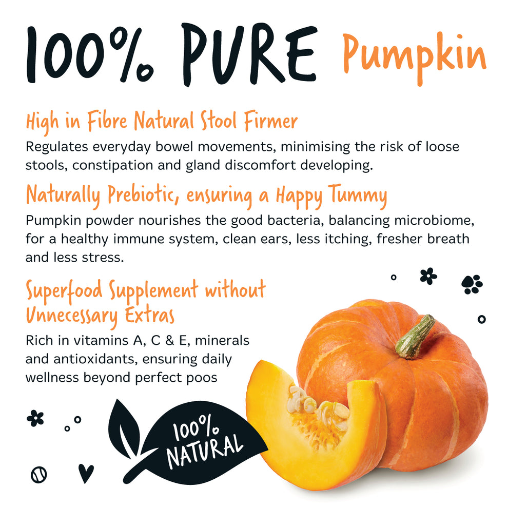 100% Natural Pumpkin Powder Supplement for Dogs | Bugalugs – Bugalugs ...