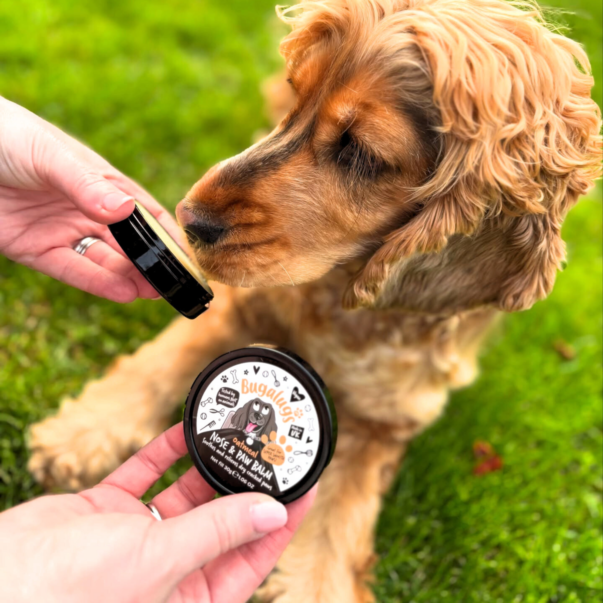 Bugalugs Oatmeal Nose & Paw Balm Pot | Dog Paw, Nose & Skin Protection ...