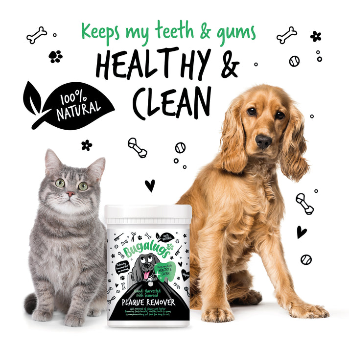 Bugalugs Hand-harvested Irish Seaweed Pet Plaque Remover Powder 200g ...