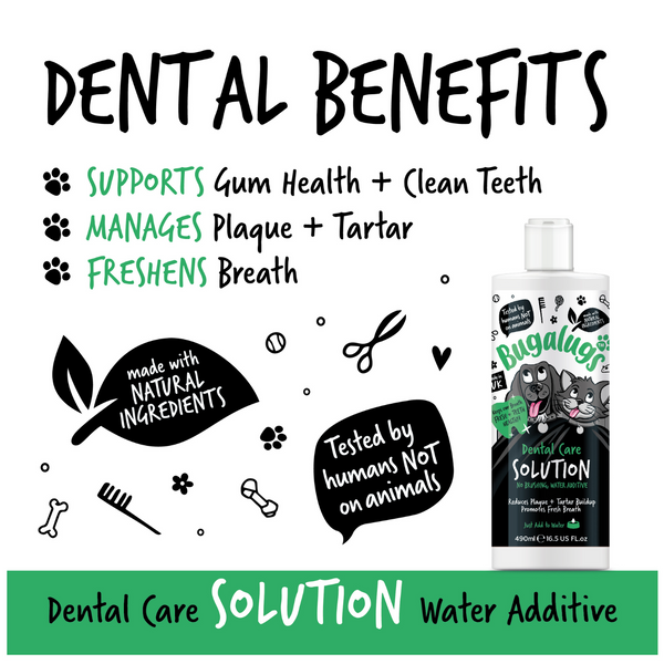 Dental Care Solution Water Additive | Bugalugs Pet Dental Solution ...