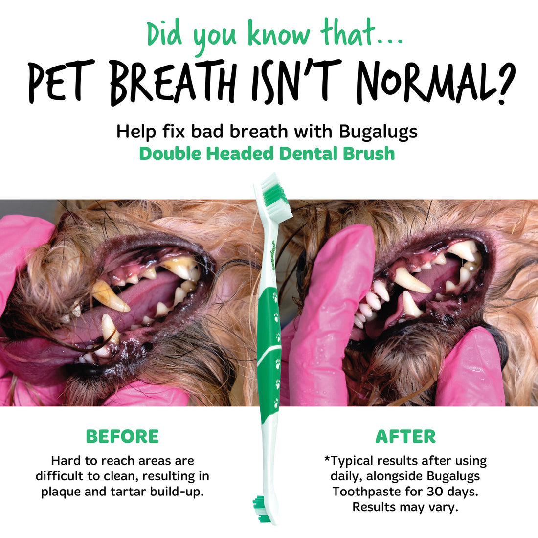 Pack of 2 Double Ended Dental Care Toothbrushes for Dogs & Cats ...