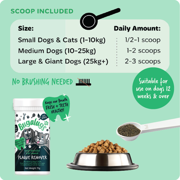 Bugalugs Hand-harvested Irish Seaweed Pet Plaque Remover Powder 70g ...