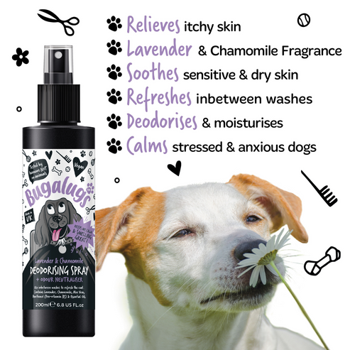 Bugalugs Lavender & Chamomile Deodorising Spray for Dogs – Bugalugs Pet ...