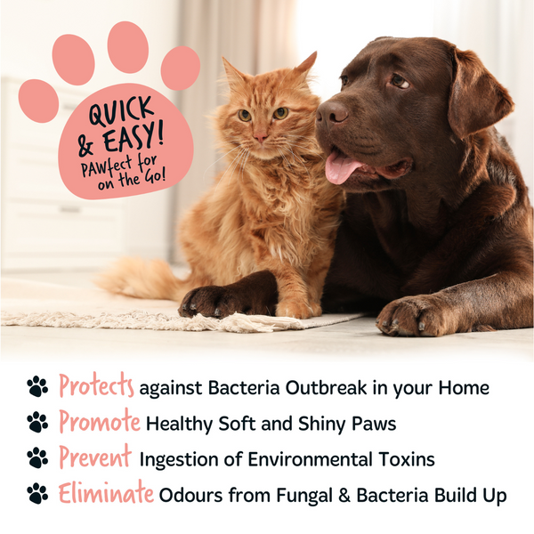Bugalugs No-rinse Papaya & Coconut Paw Cleaner for Dogs & Cats ...