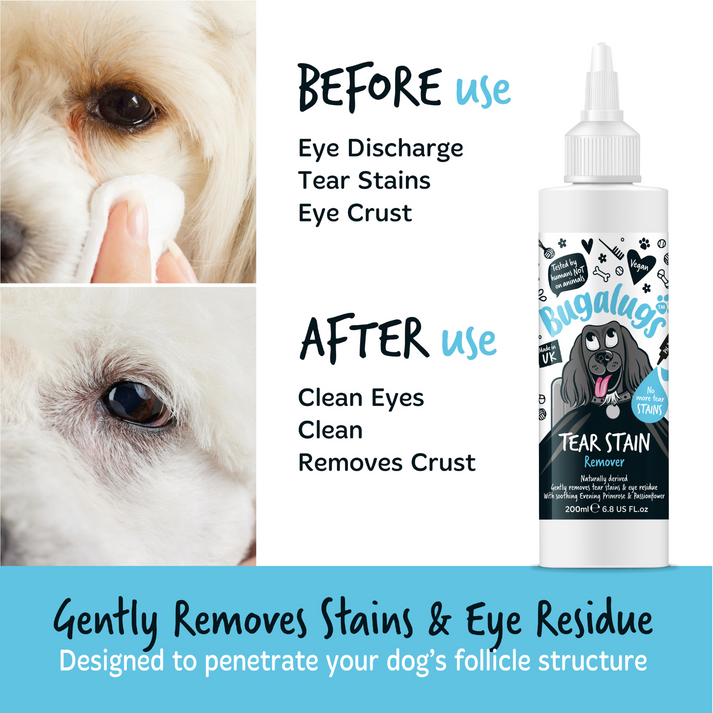 Bugalugs Tear Stain Remover Solution for Dogs | Dog Eye Care Solution ...