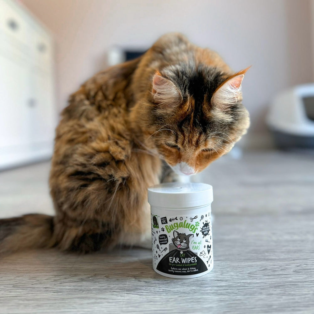 Bugalugs Pet Care | Pet Grooming, Dental & Heath Care Made in the UK