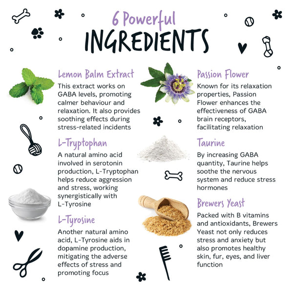 100% Natural Calming Supplement for Dogs 80g | Bugalugs Supplements ...