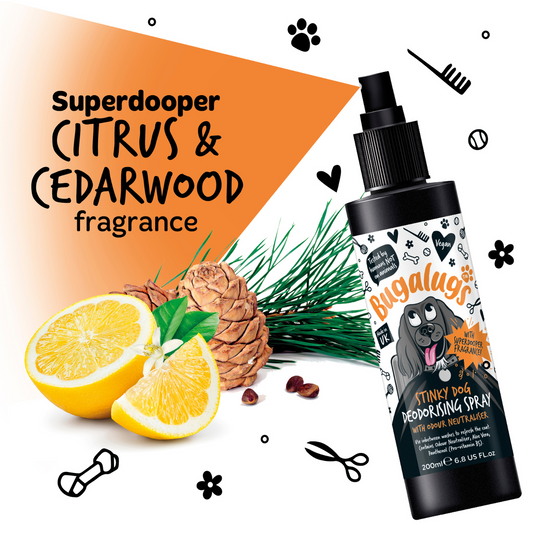Dog Deodorising Sprays | Bugalugs odour-neutralising Spray for Dogs ...